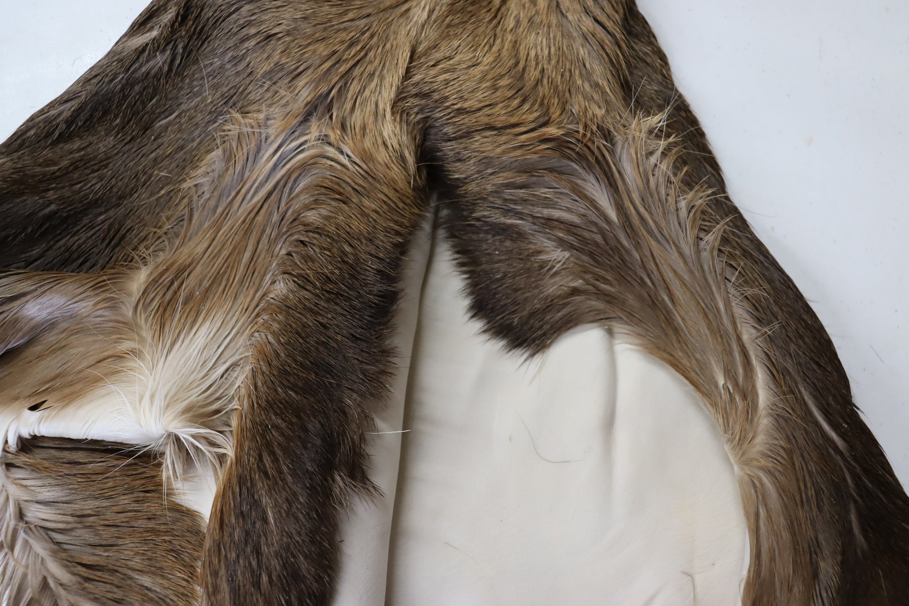 Tanned Hides For Sale - Old Barn Inc. – Page 2 – Old Barn Taxidermy ...