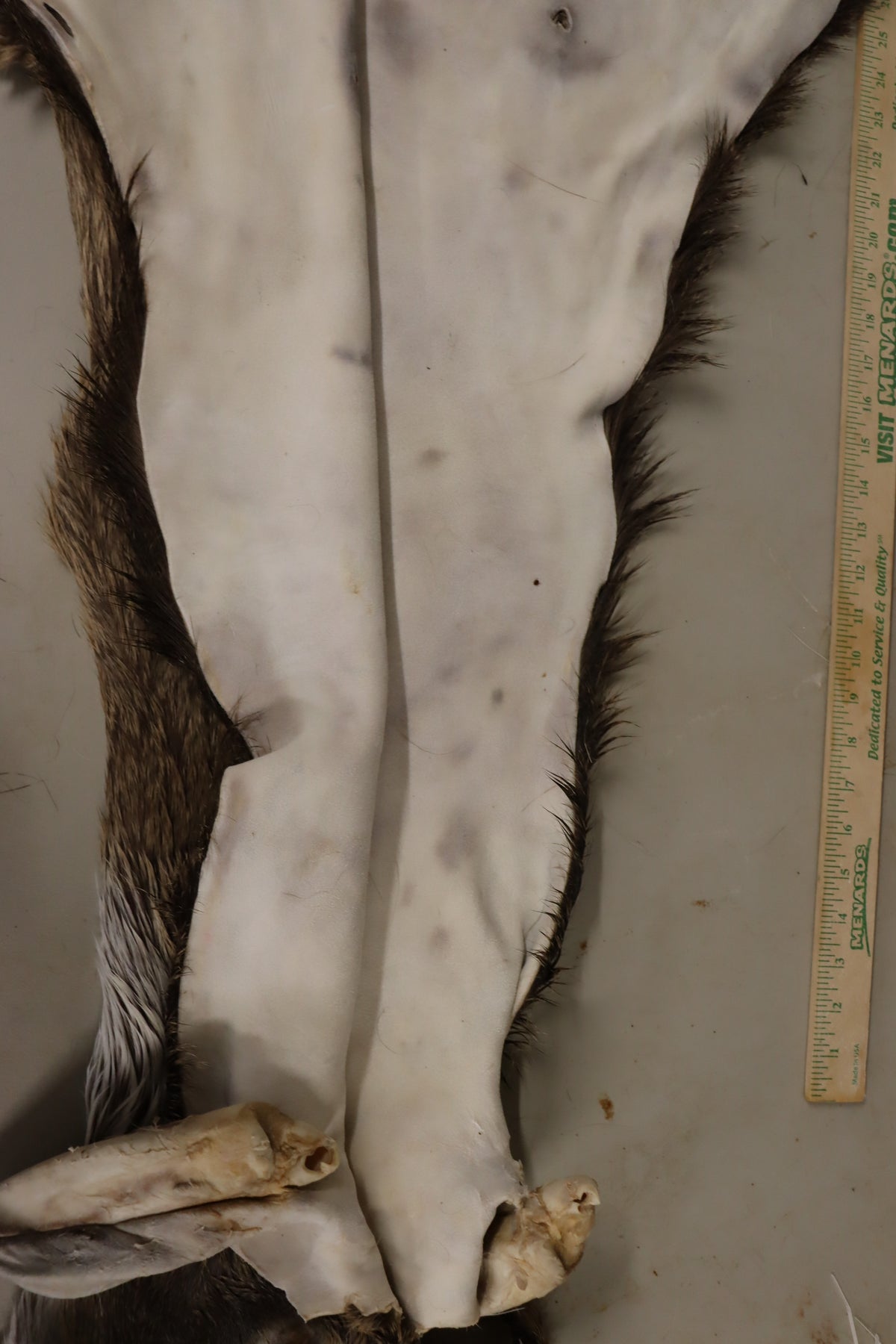 Tanned Hides For Sale - Old Barn Inc. – Page 3 – Old Barn Taxidermy ...