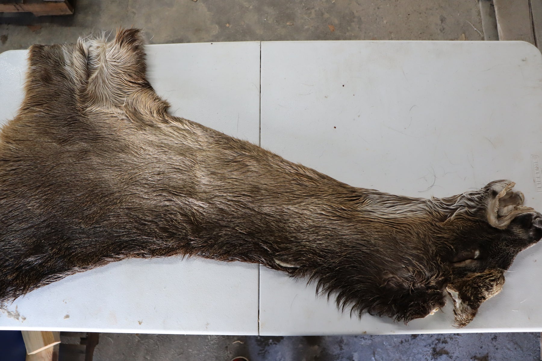 Tanned Hides For Sale - Old Barn Inc. – Old Barn Taxidermy & Meat ...